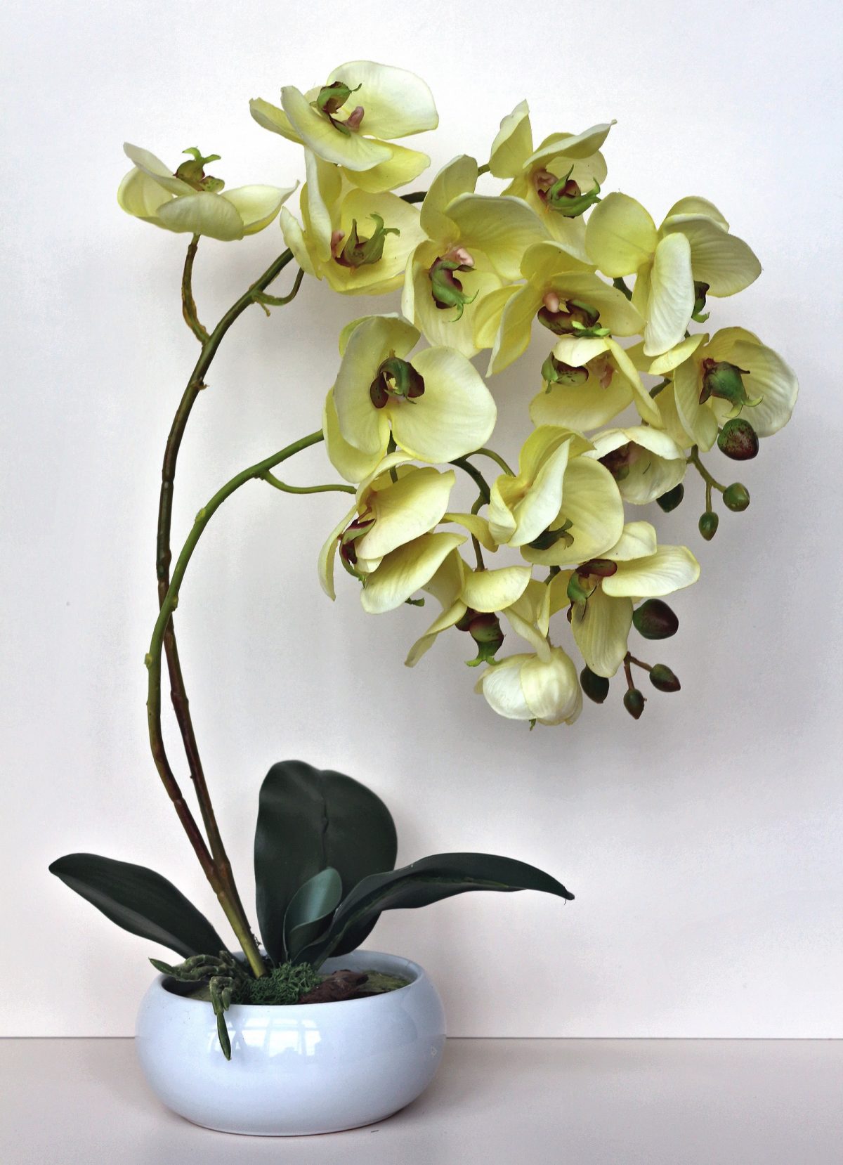 Beautiful orchids in the interior - Elena Sunshine Magazine®