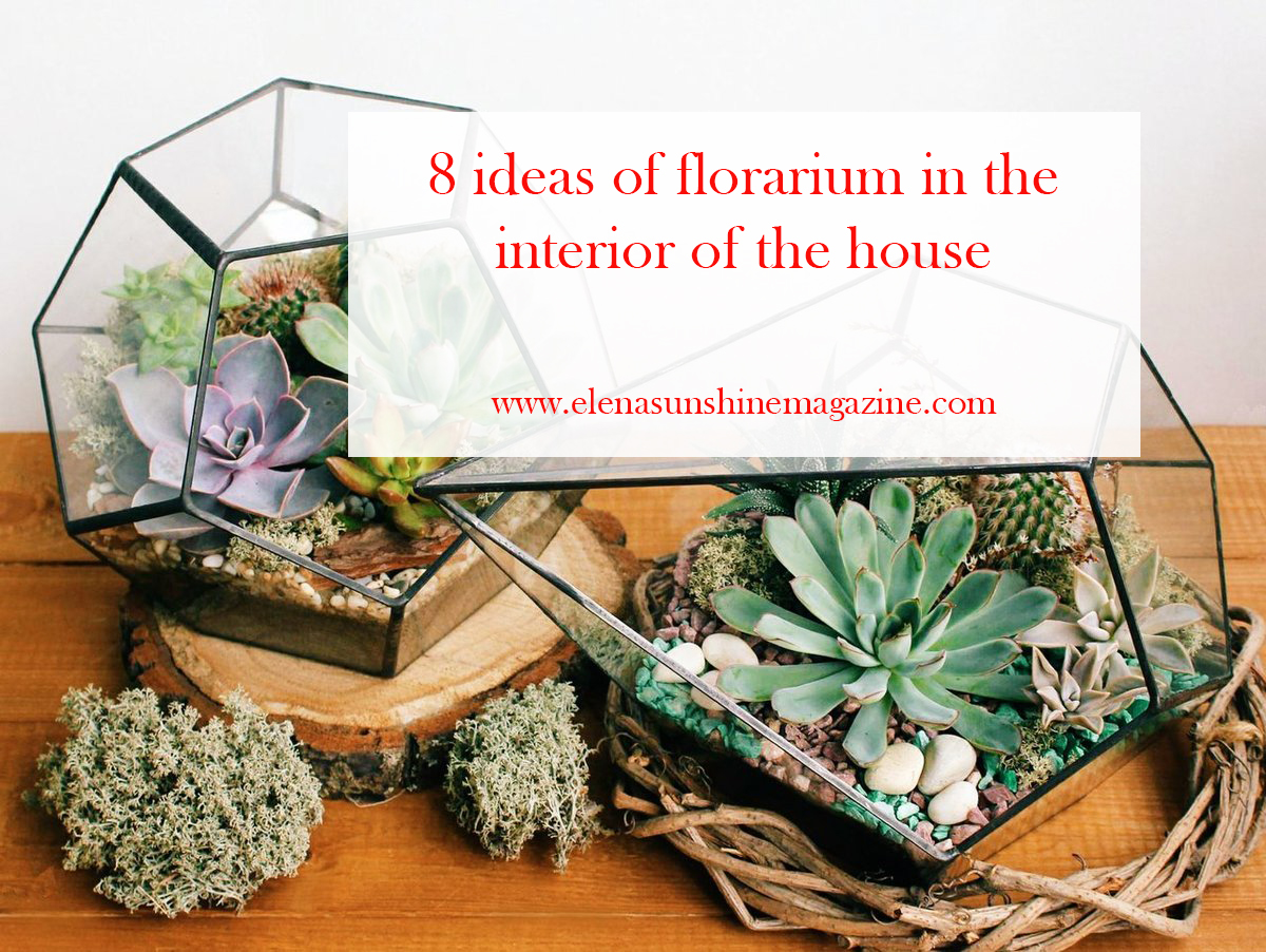 8 ideas of florarium in the interior of the house - Elena Sunshine ...