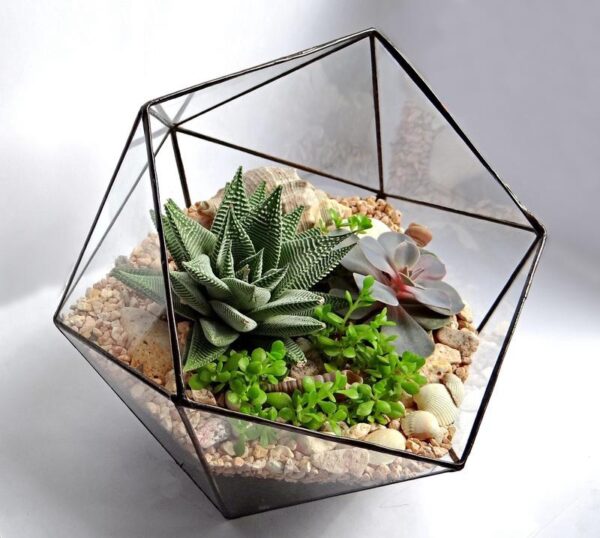 8 ideas of florarium in the interior of the house - Elena Sunshine ...