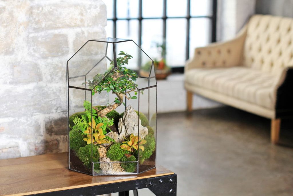 8 ideas of florarium in the interior of the house - Elena Sunshine ...