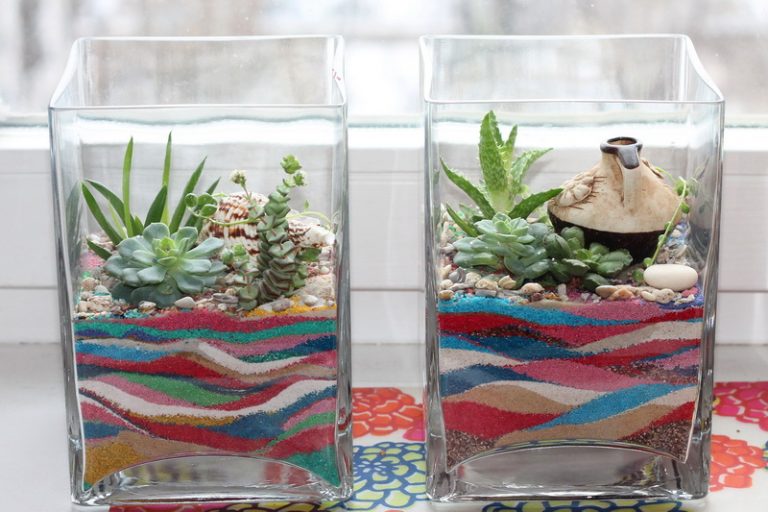 8 ideas of florarium in the interior of the house - Elena Sunshine ...