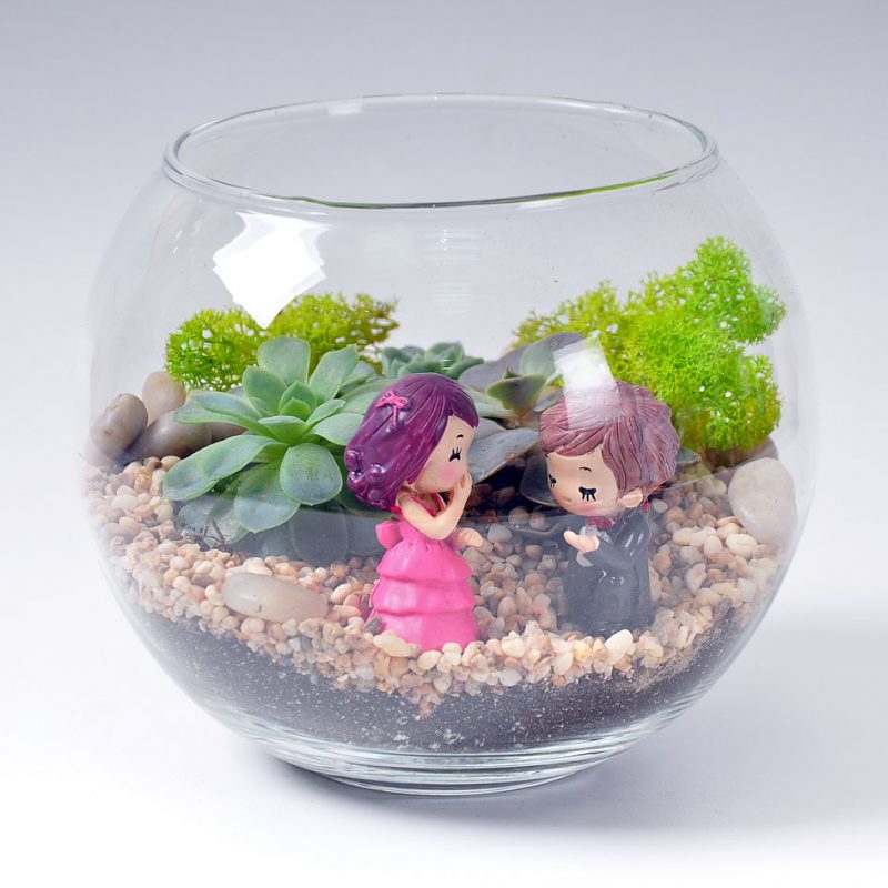 8 ideas of florarium in the interior of the house - Elena Sunshine ...