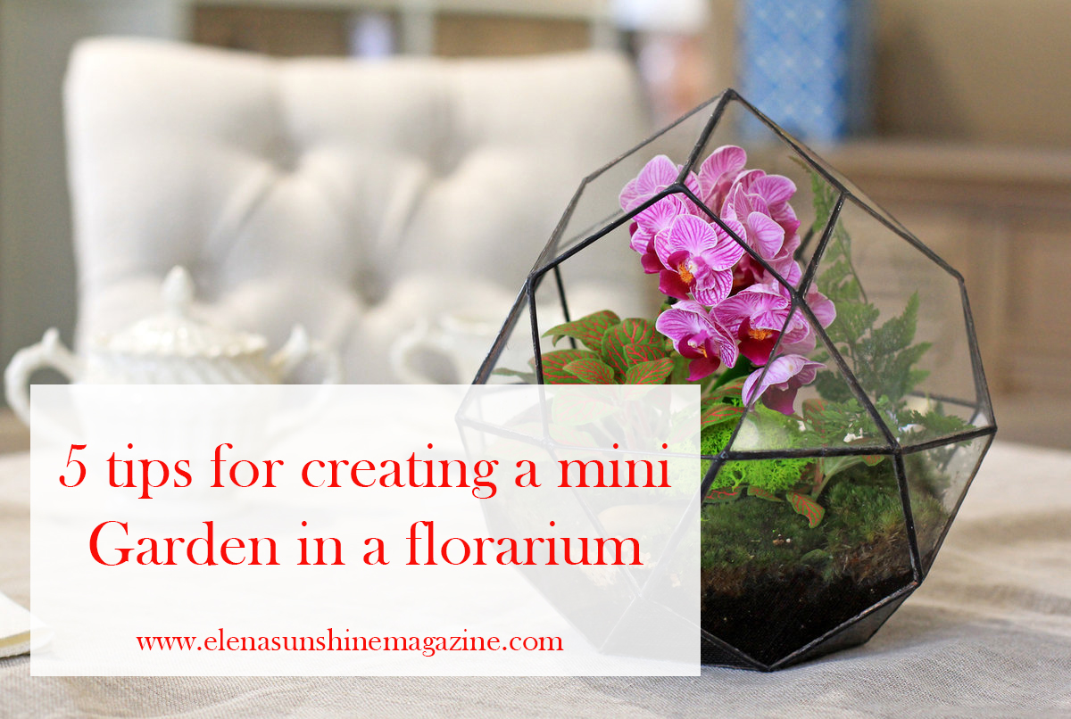 5 tips for creating a mini Garden in a florarium - Elena Sunshine Magazine®