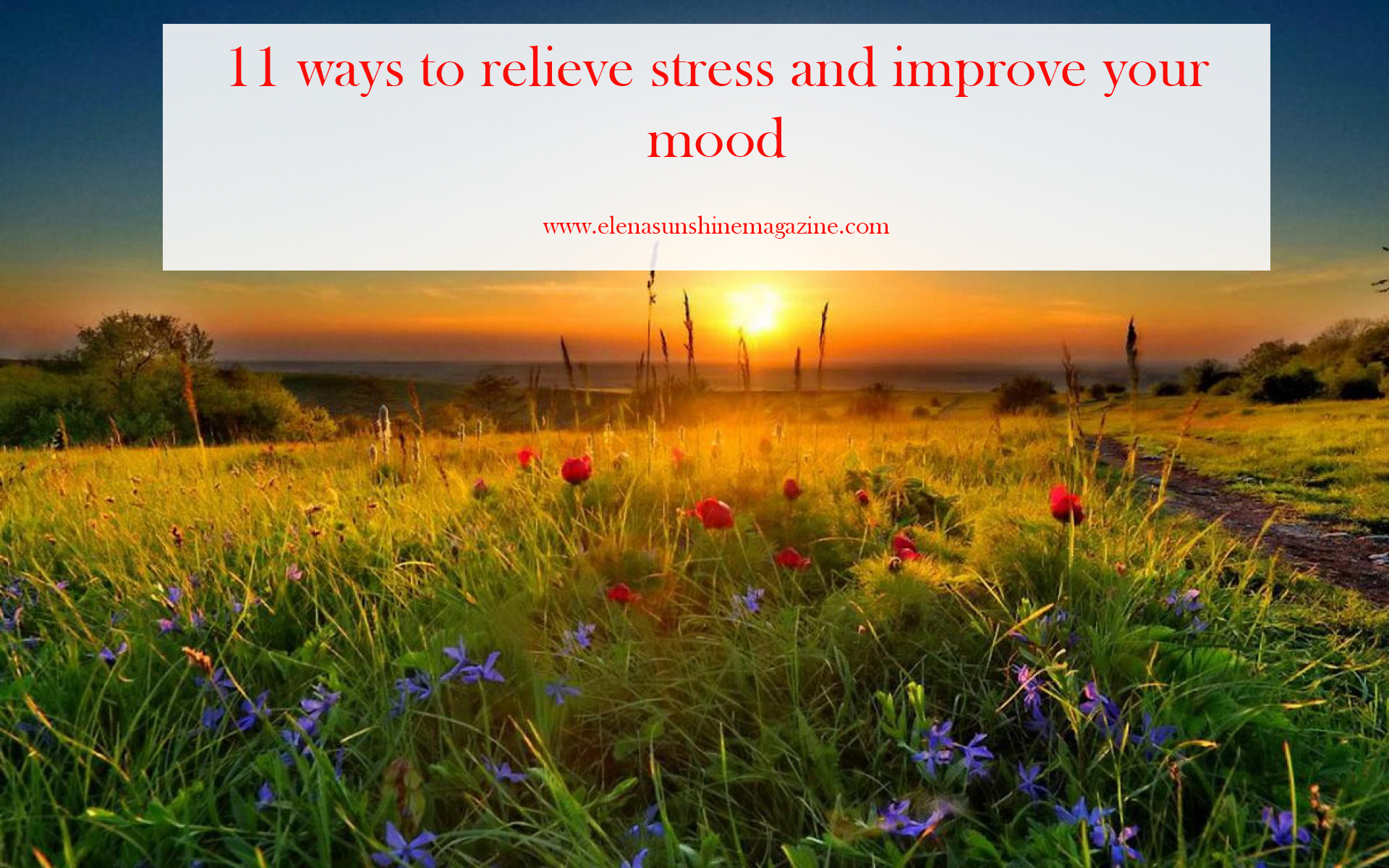 11 ways to relieve stress and improve your mood - Elena Sunshine Magazine®