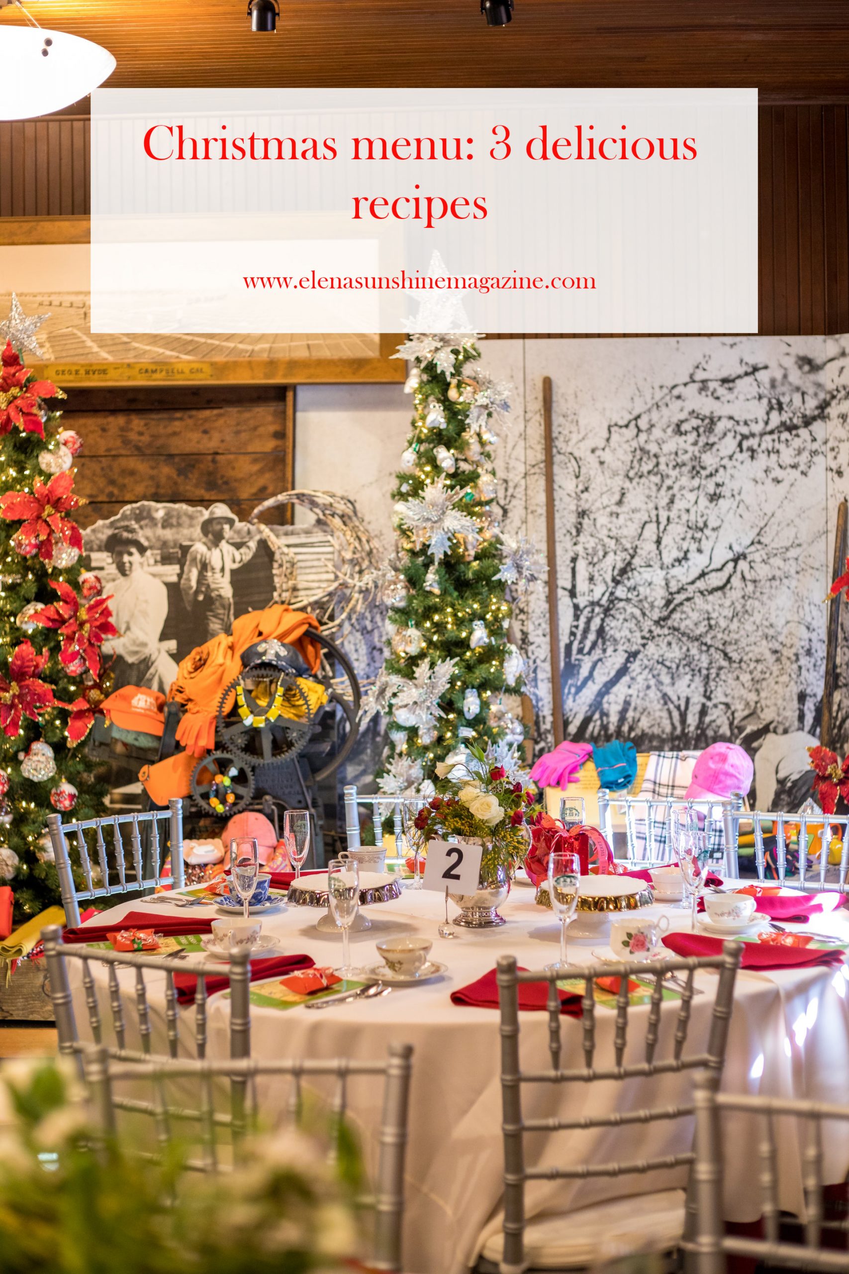 Christmas menu: 3 delicious recipes - Elena Sunshine Magazine®