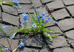 6 main types of self-realization: which one is yours? - Elena Sunshine ...