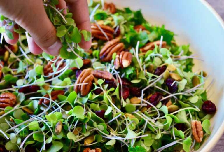 3 recipes with delicious and healthy microgreens - Elena Sunshine Magazine®