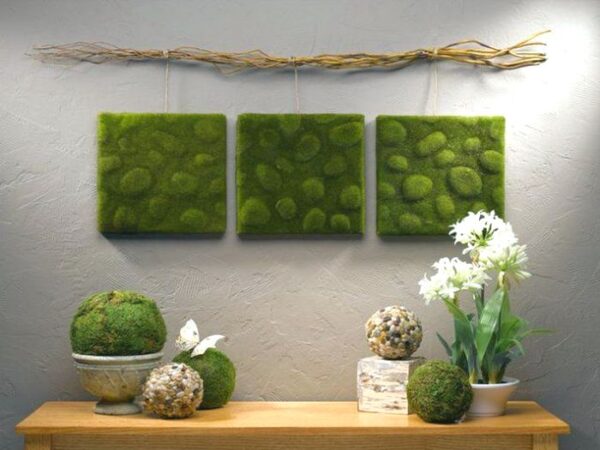 11 modern ideas for interior decoration with moss in eco style - Elena ...