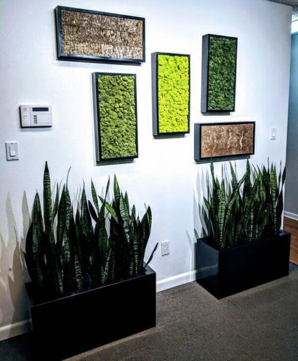 11 modern ideas for interior decoration with moss in eco style - Elena ...