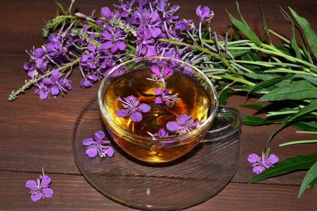 5 steps preparation and fermentation of fireweed - Elena Sunshine Magazine®