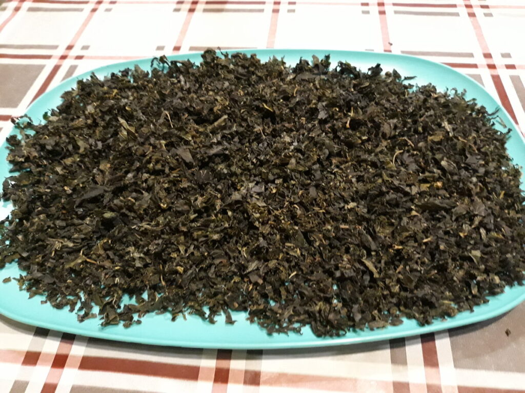 Fermented tea from the leaves of garden and wild plants. Master class 1 ...