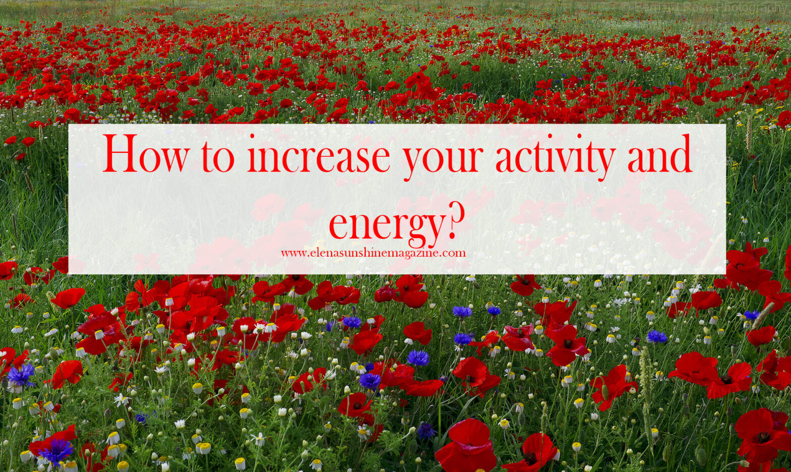 How to increase your activity and energy? - Elena Sunshine Magazine®