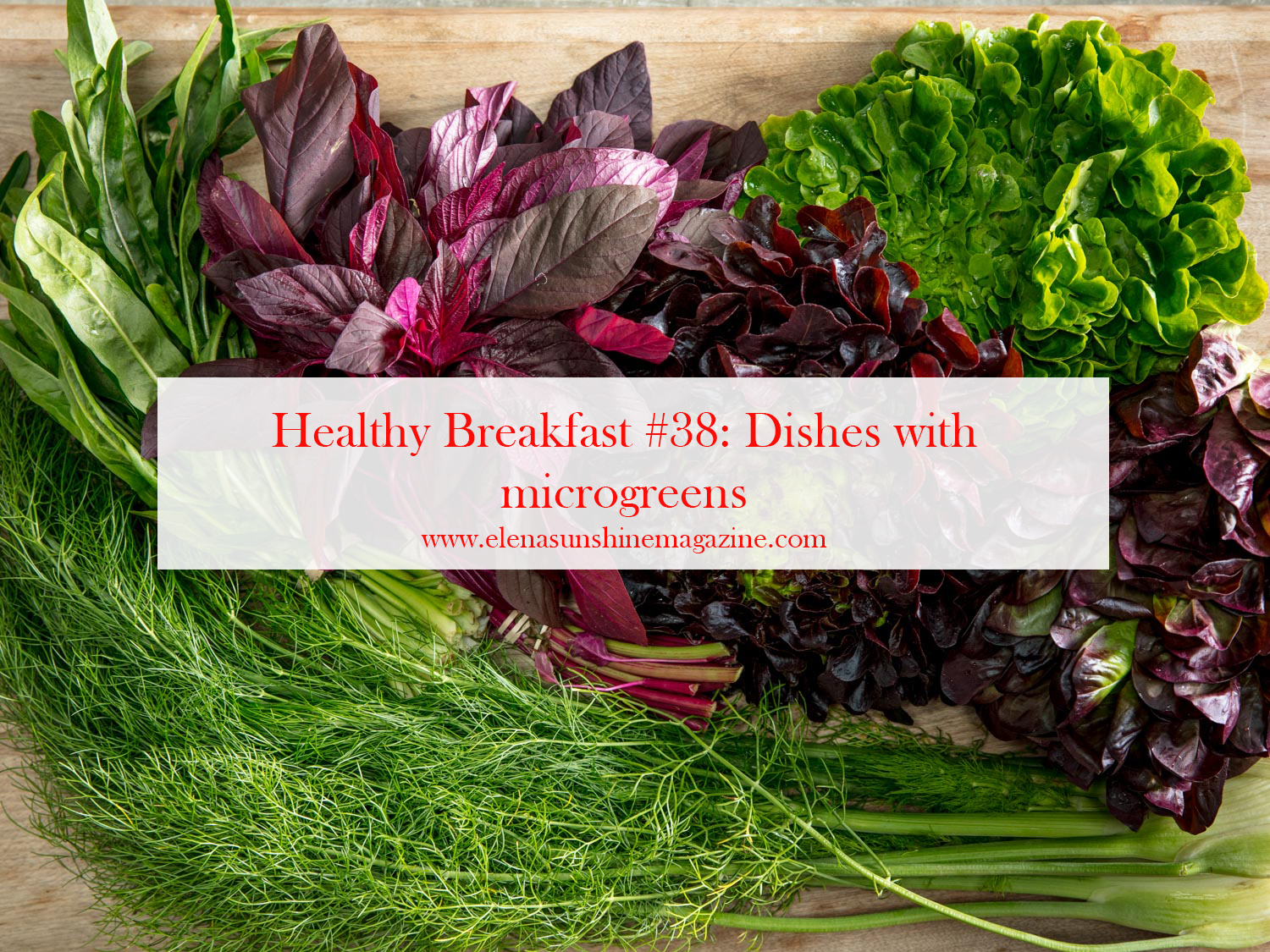 Healthy Breakfast #38: Dishes with microgreens - Elena Sunshine Magazine®
